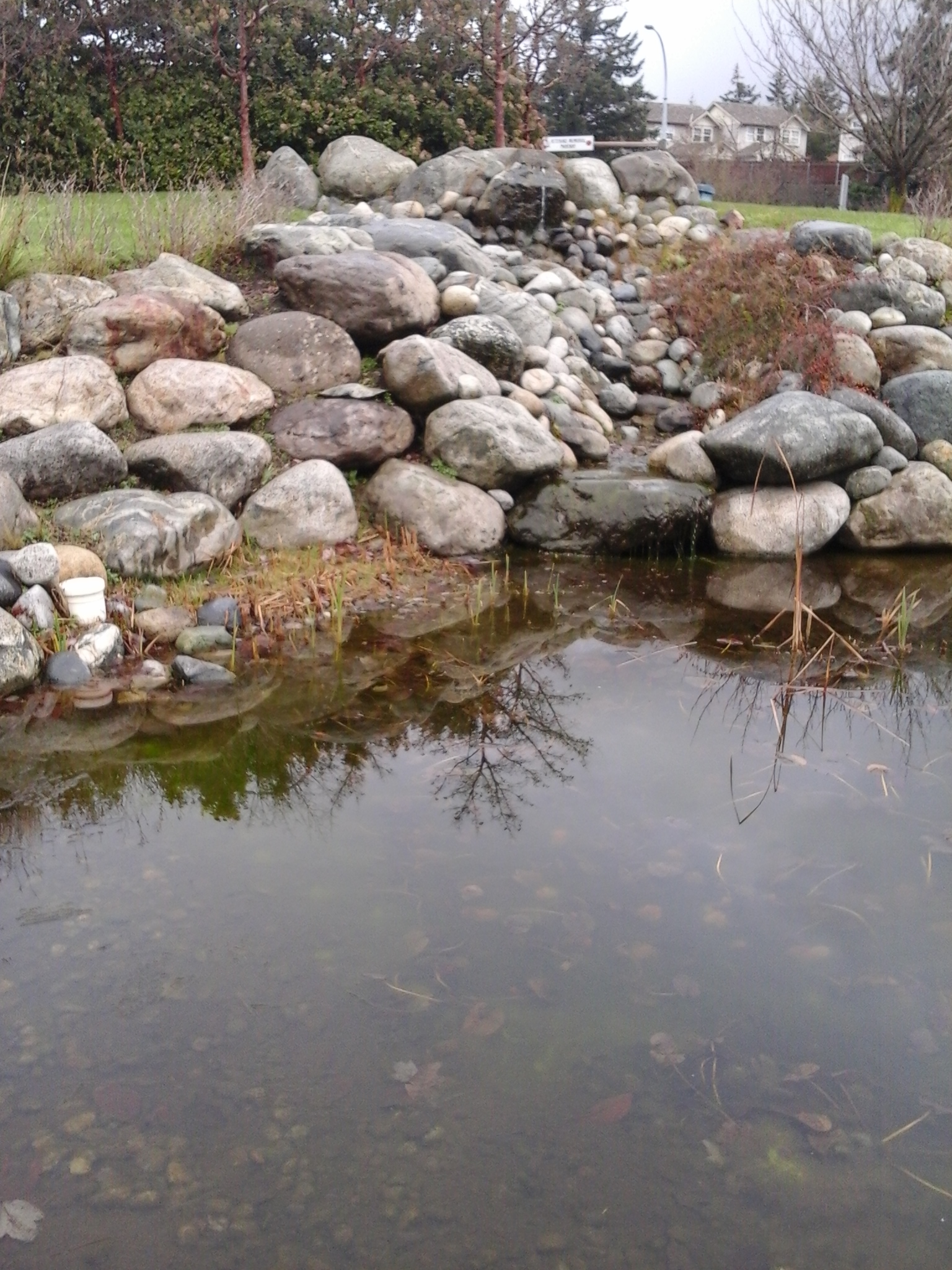 Peatt Fire Hall Green Space – Walks in Your Backyard