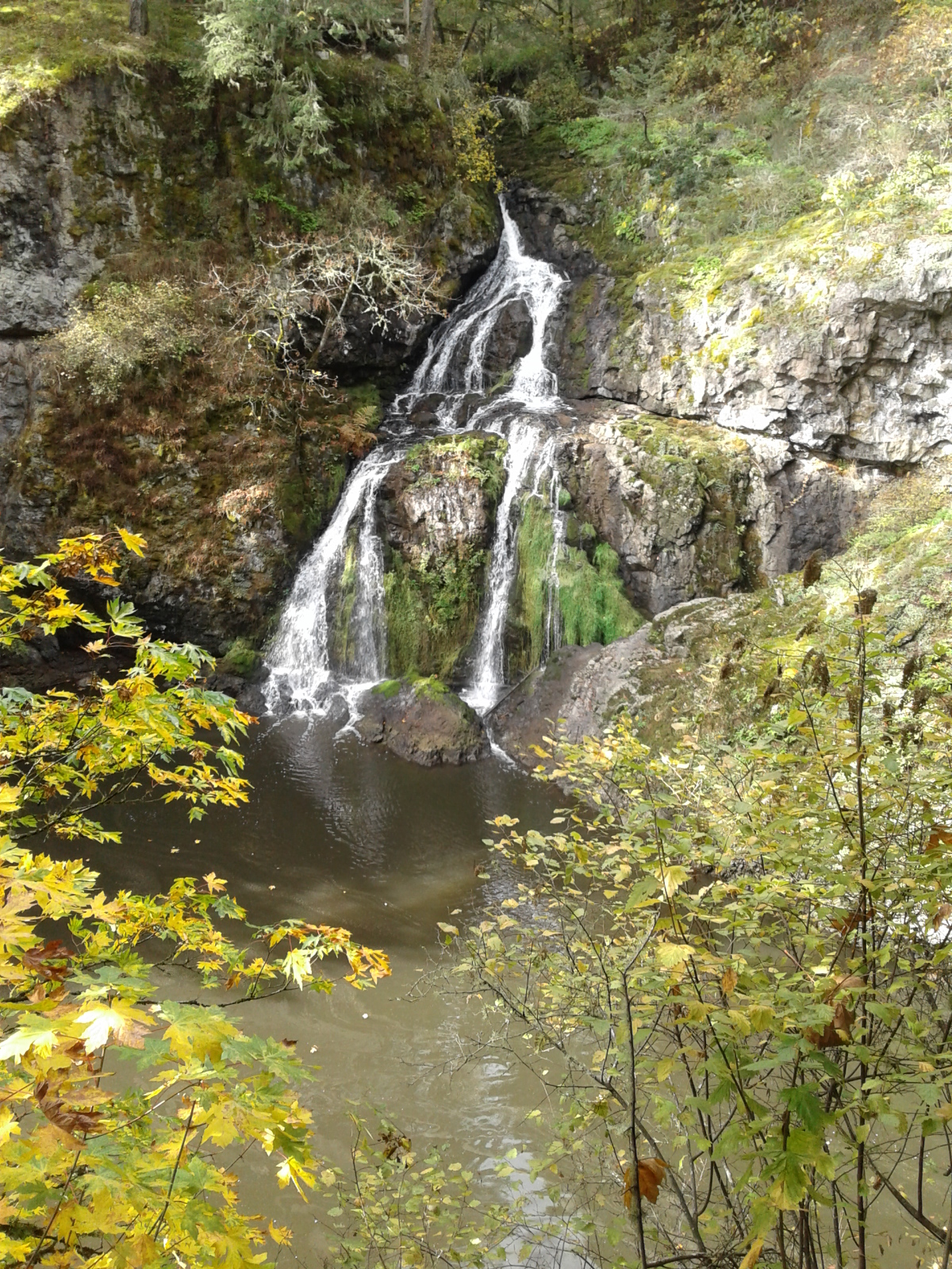 Witty’s Lagoon Regional Park – Walks in Your Backyard
