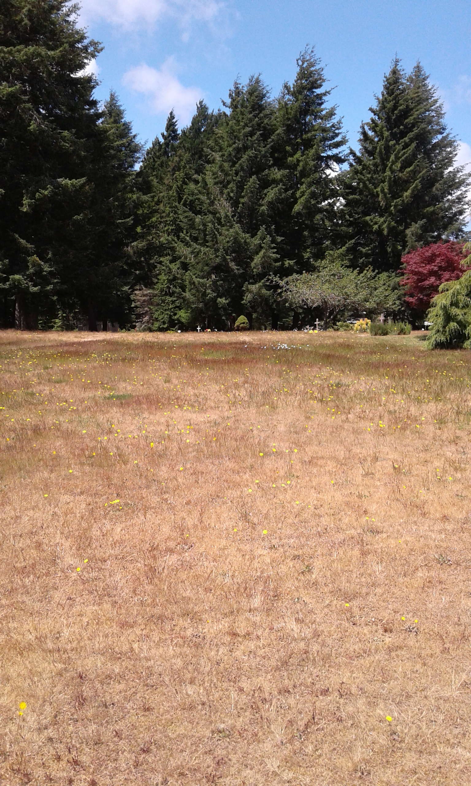 Sooke Harbour Cemetery Green Space – Walks in Your Backyard