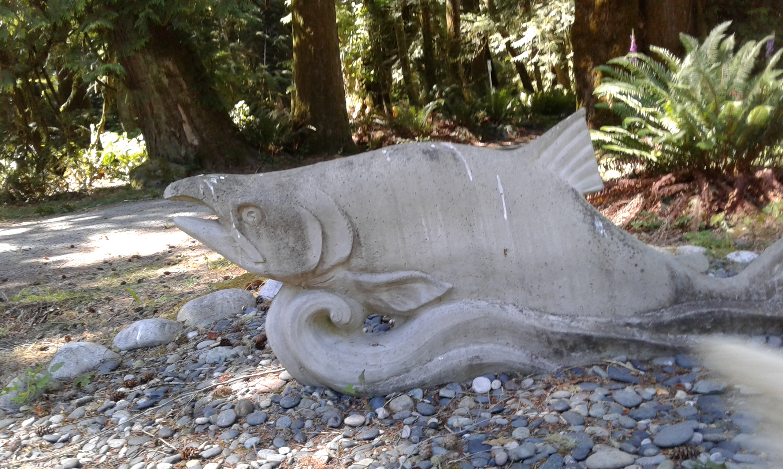 Sooke River Regional Park Reserve – Walks in Your Backyard